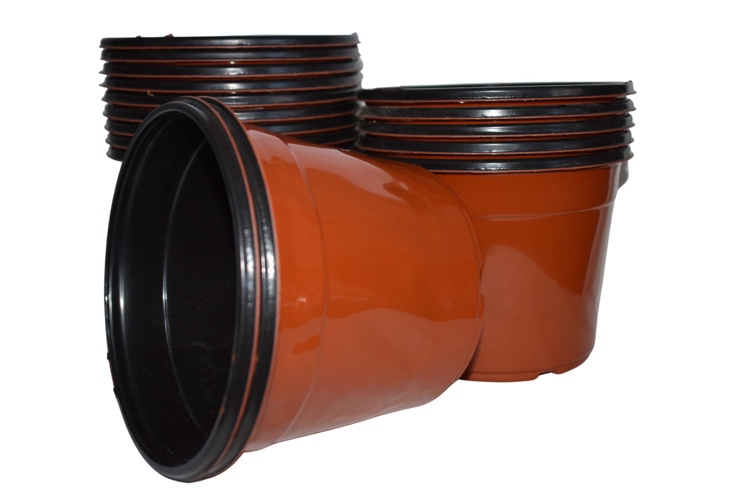6.5" brown nursery pot - Green Age Farms