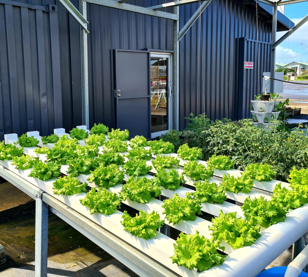 Resource Center - Green Age Farms